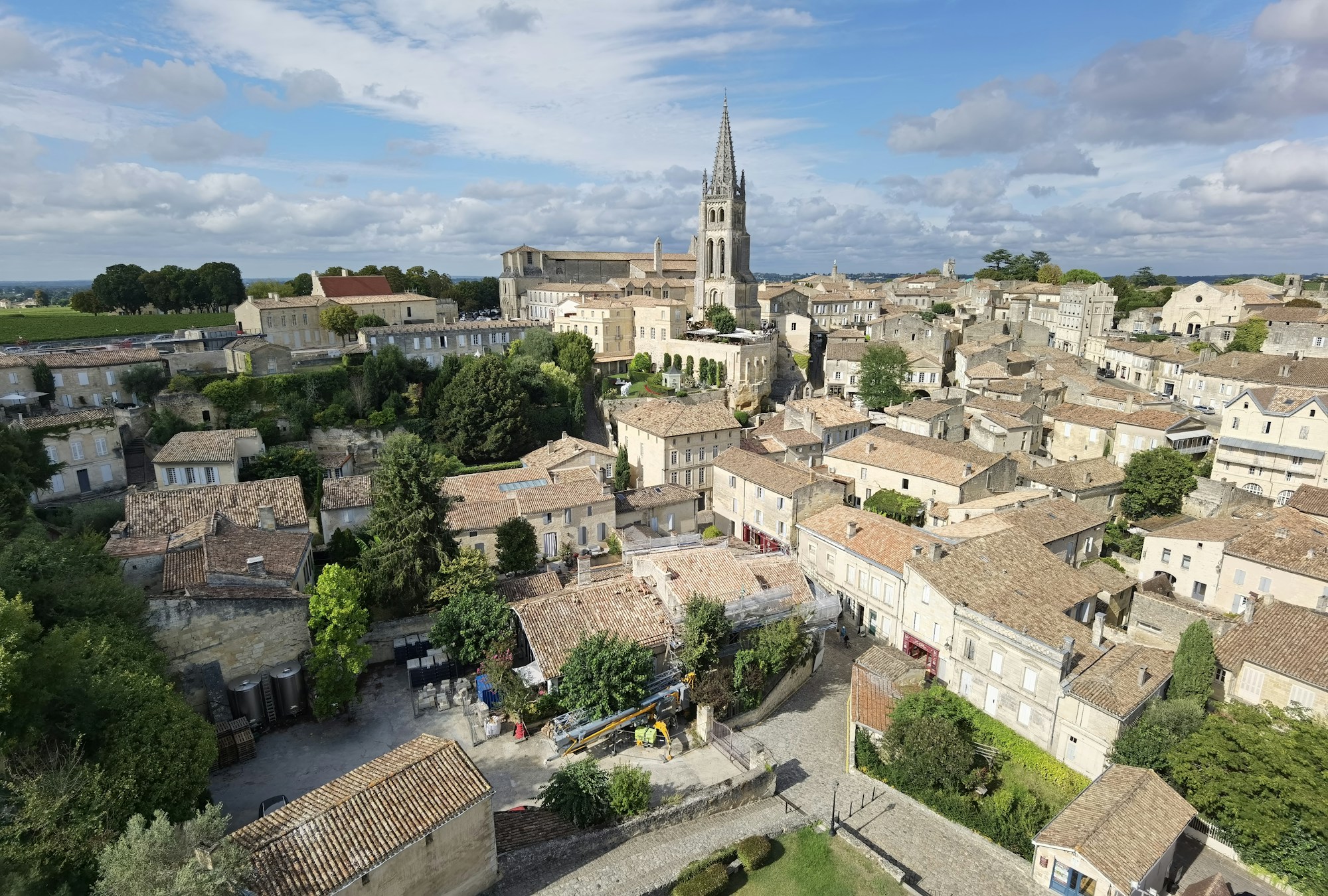 Bordeaux Harvest 2026: 10 Best Chateau Experiences