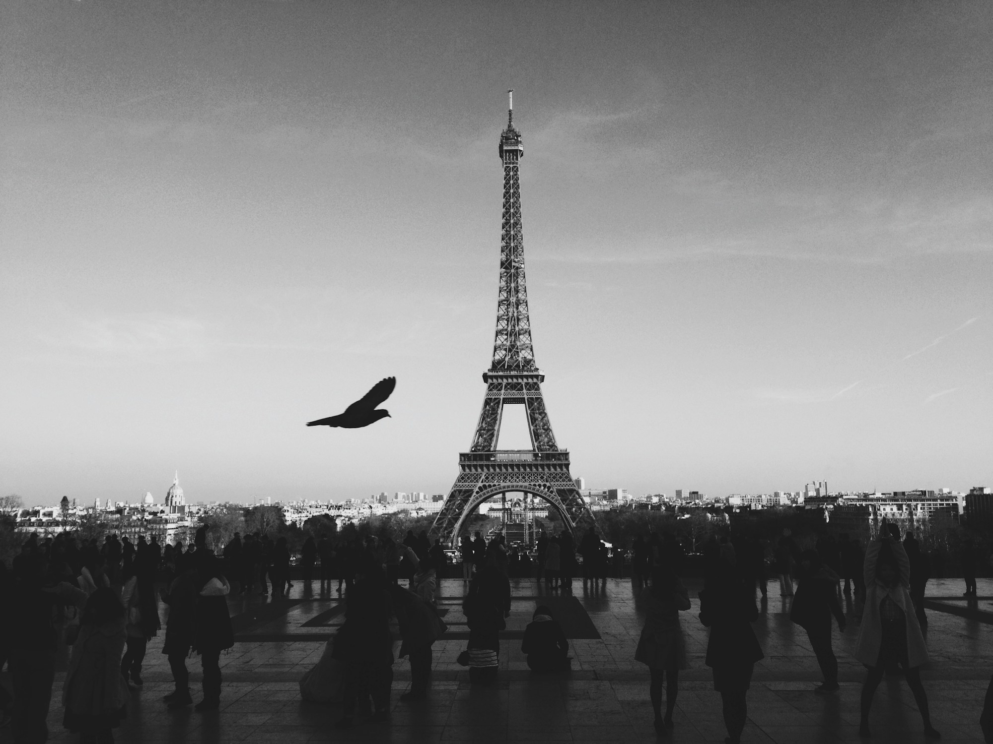 Bastille Day Paris 2026: Fireworks, Parade & Best Spots